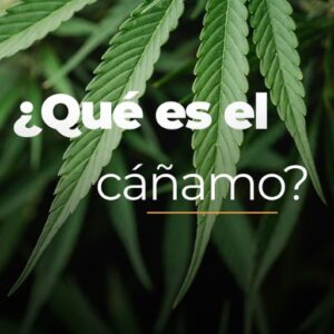 El cáñamo: una planta ancestral con aplicaciones industriales ...